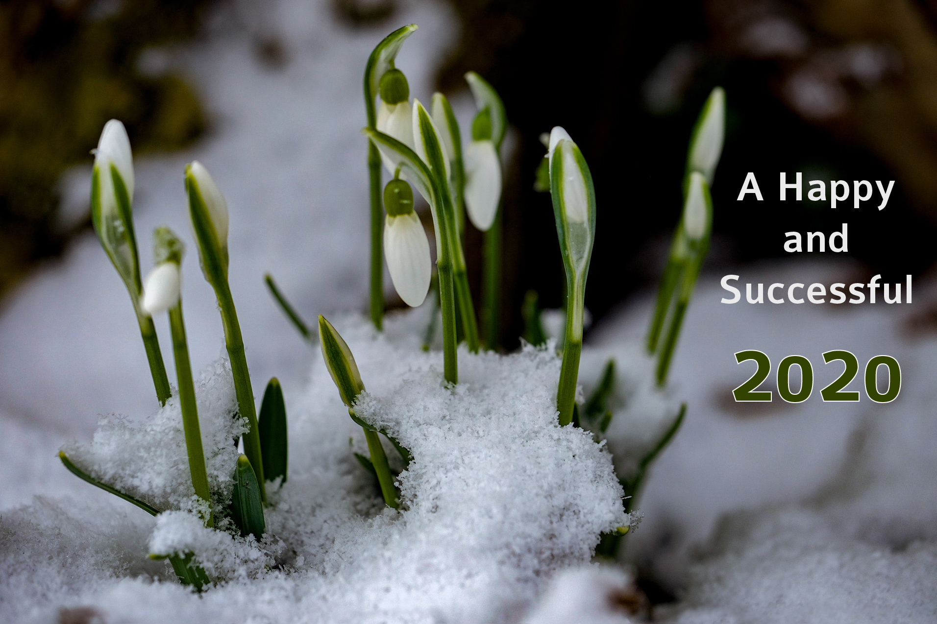 We wish you a successful 2020 - con-TACT